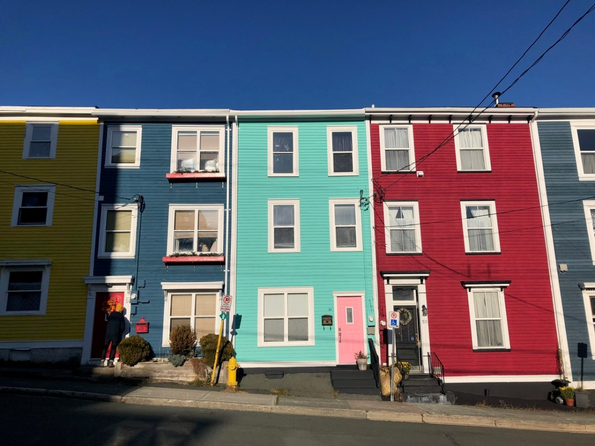 48 hours in saint john’s, Newfoundland – the little BIG explorers